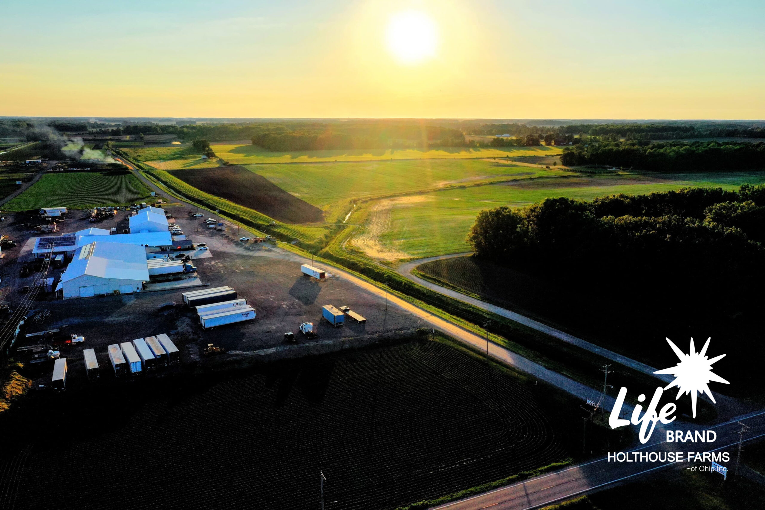 Local Grown Summer Series Holthouse Farms - Crookbros.com